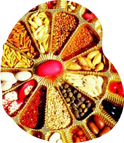 Sahaja Seeds | Buy Seeds Online