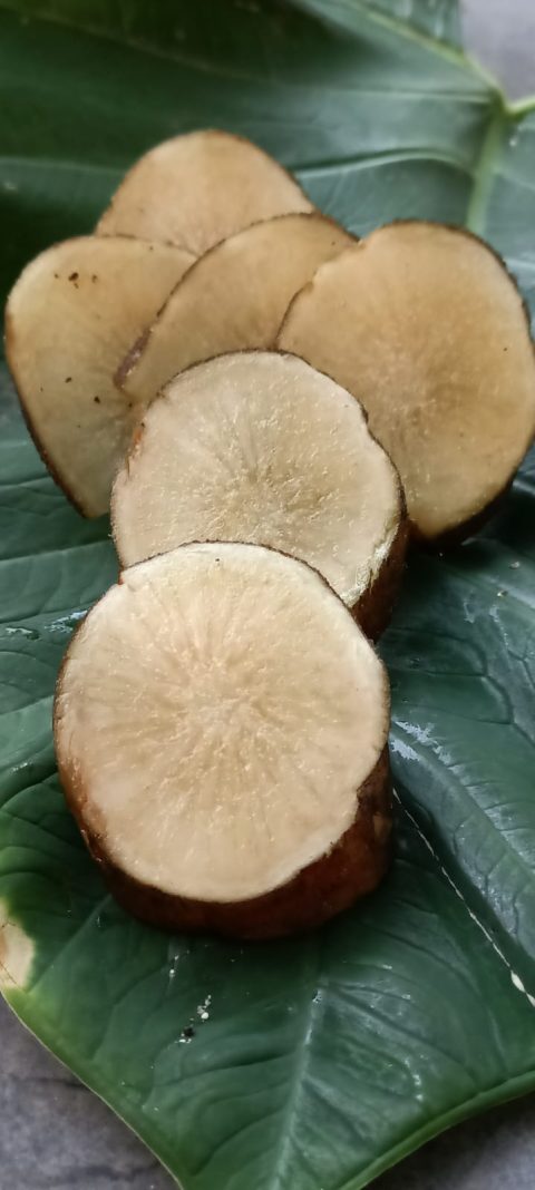 Yacon Beans | Sahaja Seeds